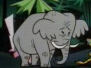 Indian Elephant | Animals Wiki | Fandom