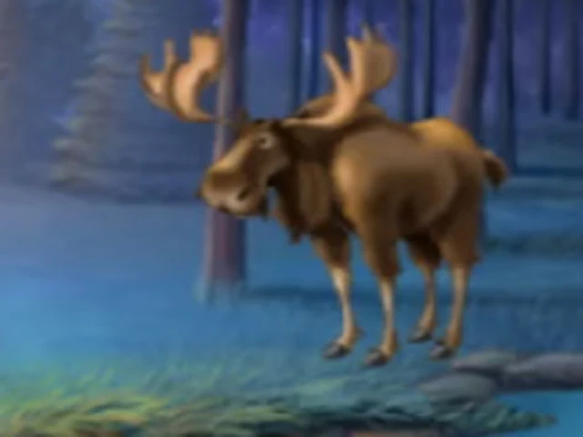 Eastern Moose | Animals Wiki | Fandom