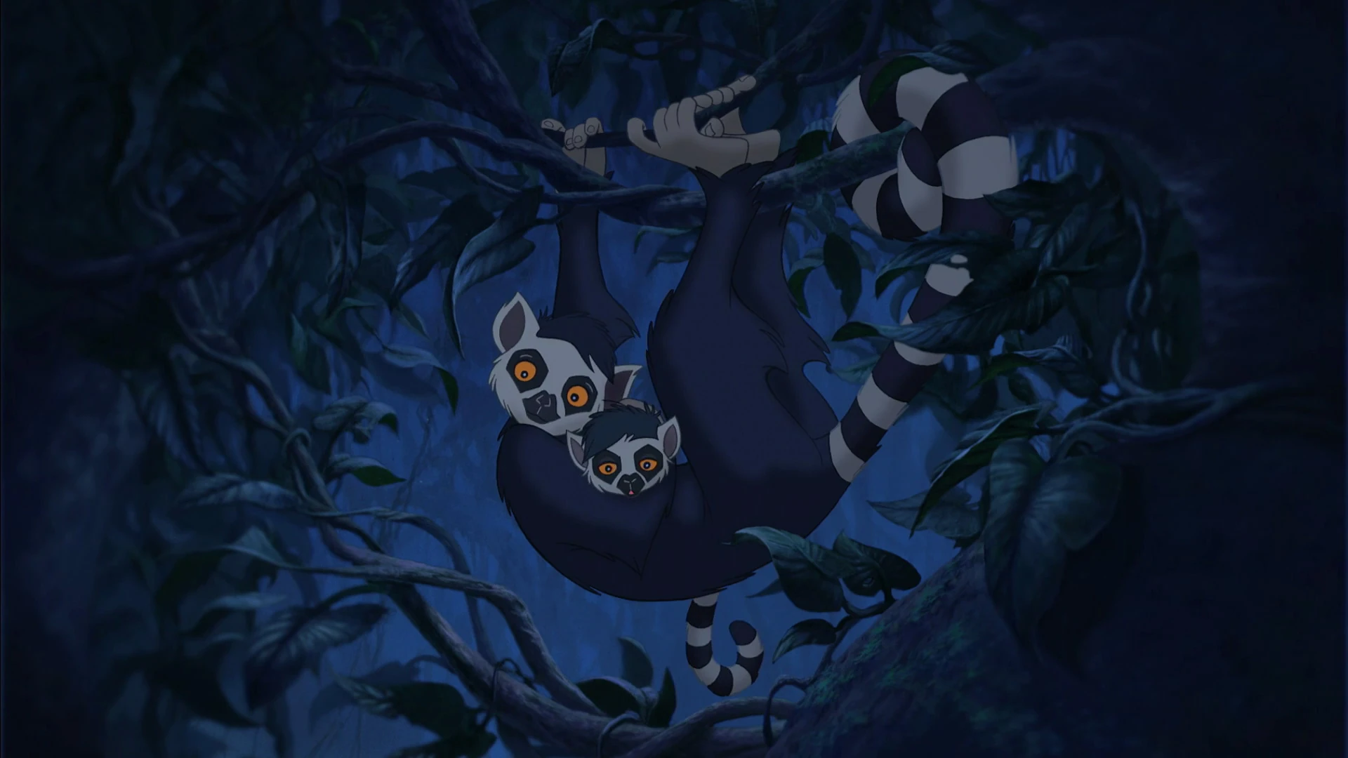 Ring-tailed Lemur | Animals Wiki | Fandom