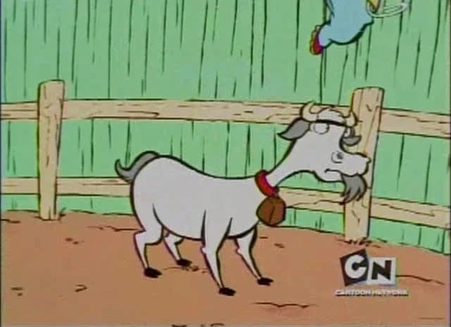 Domestic Goat | Animals Wiki | Fandom