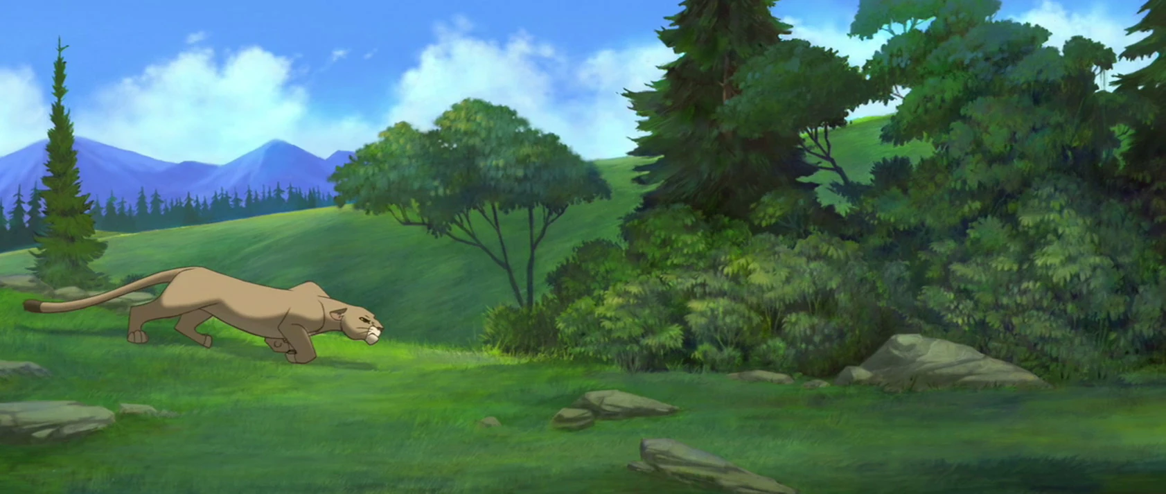 Cougar | Animals Wiki | Fandom