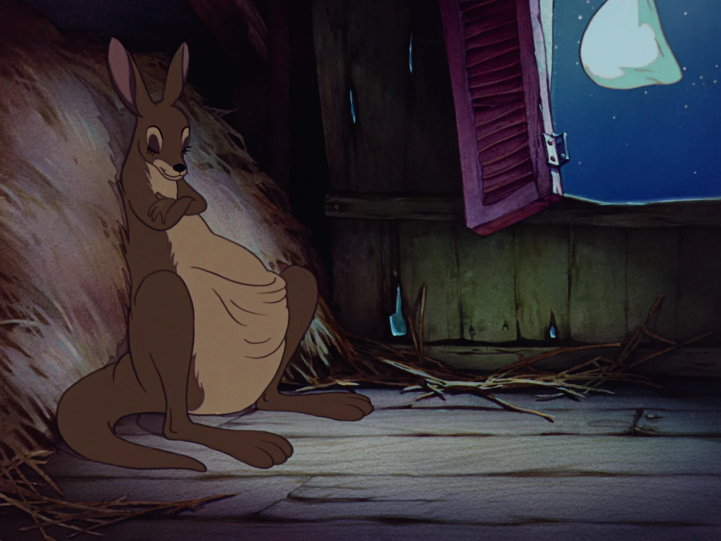 Image - Red-kangaroo-dumbo.jpg | Animals Wiki | FANDOM powered by Wikia