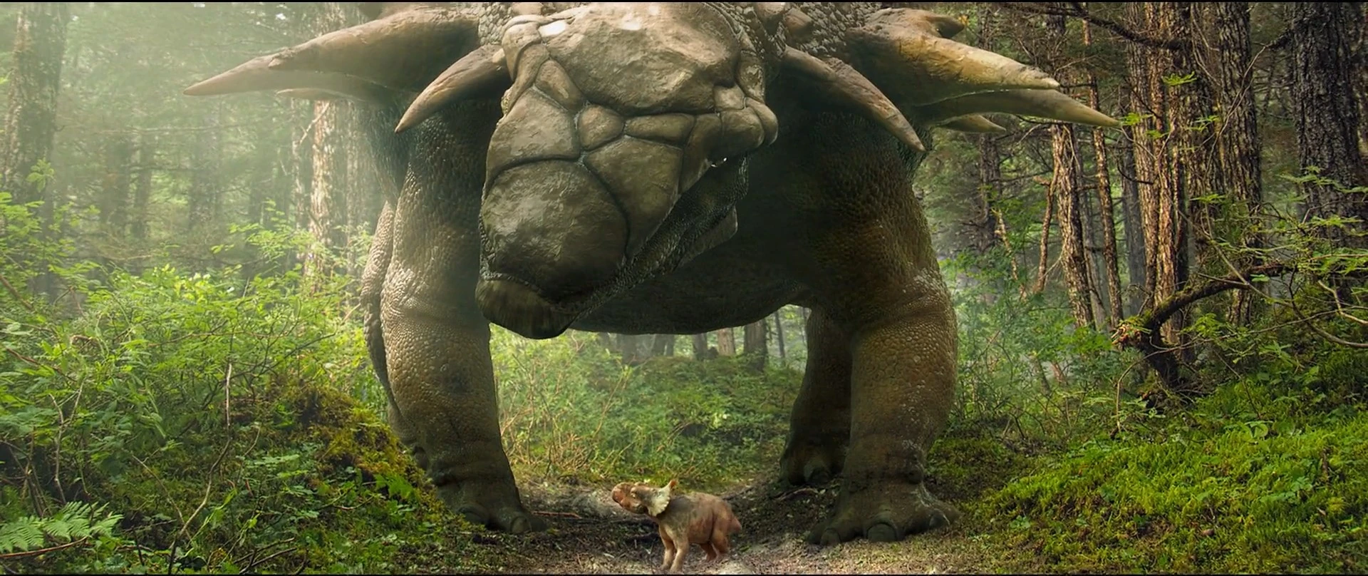 Category:Nodosaurs | Animals Wiki | Fandom