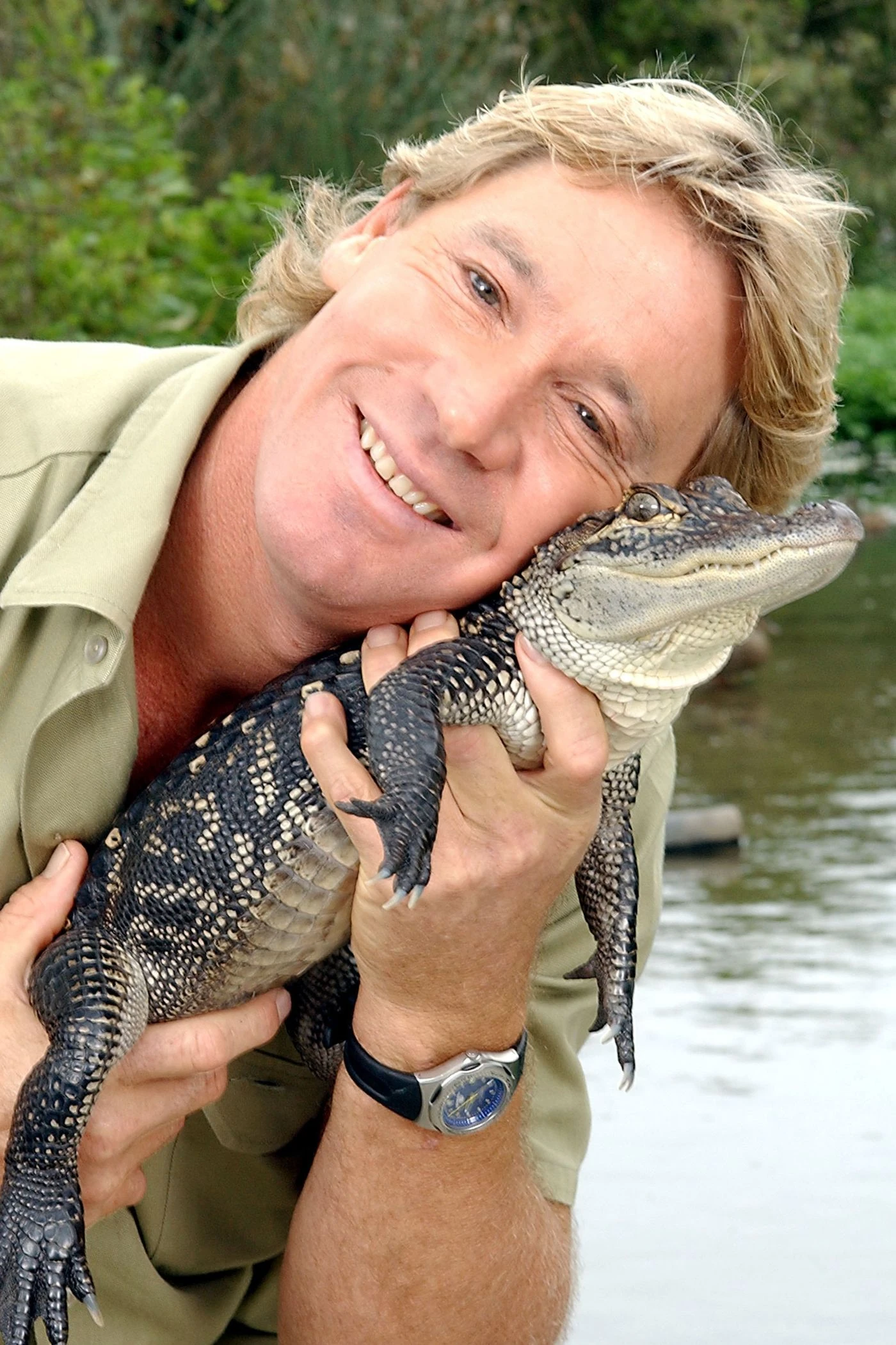 Steve Irwin | Animal Database | Fandom