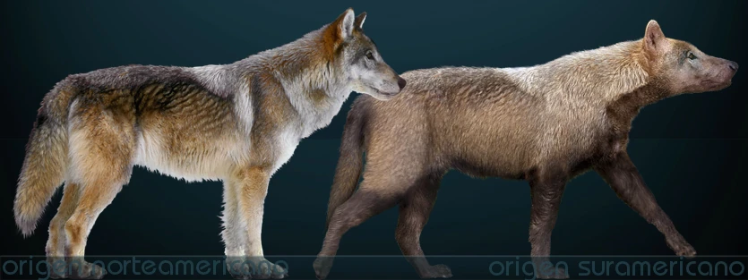 Dire wolf | Animal Database | Fandom