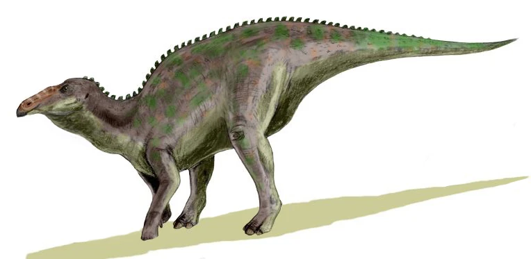 Edmontosaurus | Animal Database | Fandom