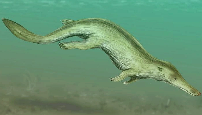 Remingtonocetidae | Animal Database | FANDOM powered by Wikia