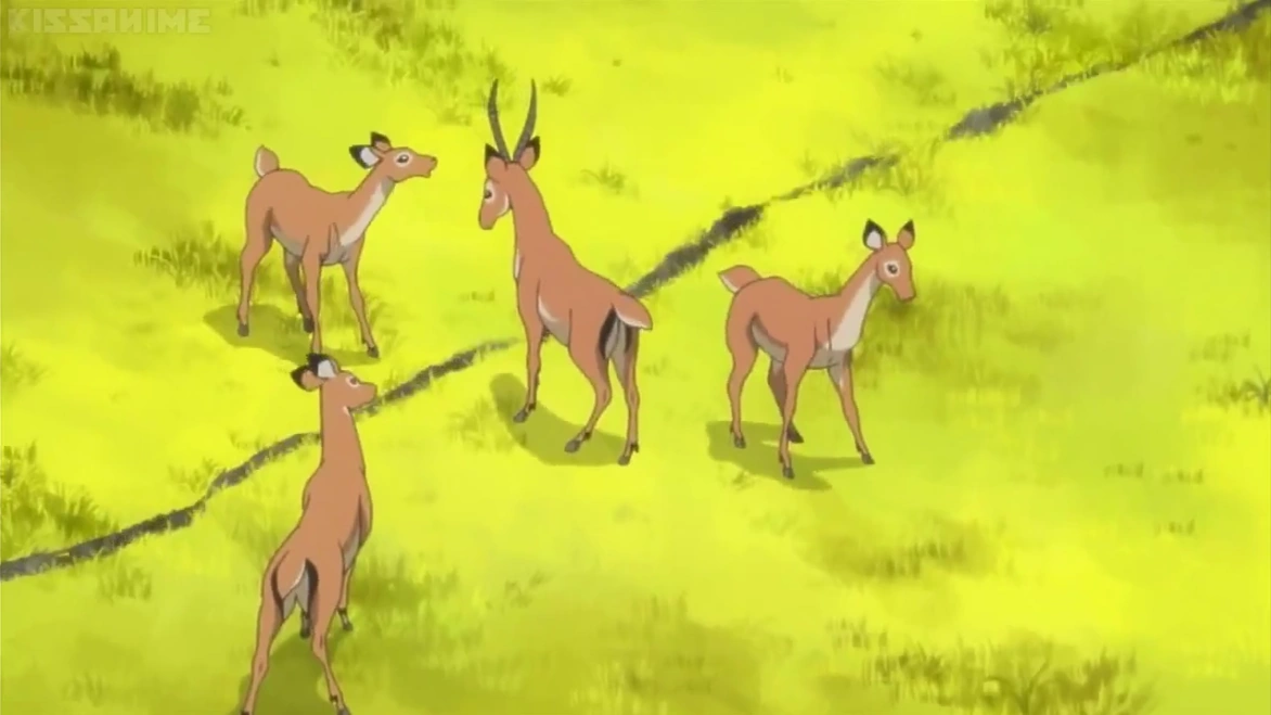 Impala/Gallery | Animals Wiki | Fandom