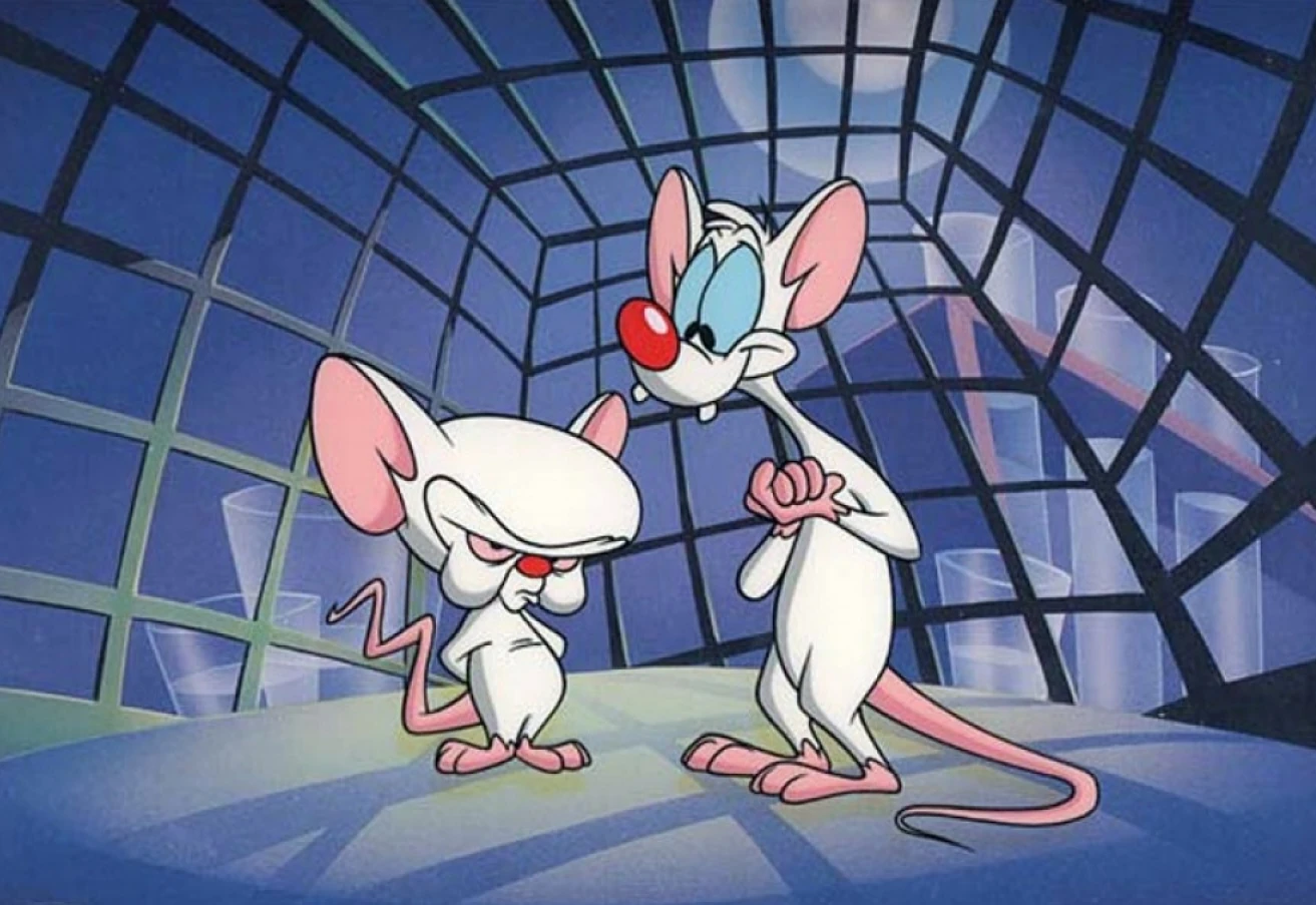 Pinky y Cerebro | Animaniacs Wiki | FANDOM powered by Wikia