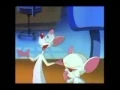 Pinky and the Brain | Animaniacs Wiki | Fandom