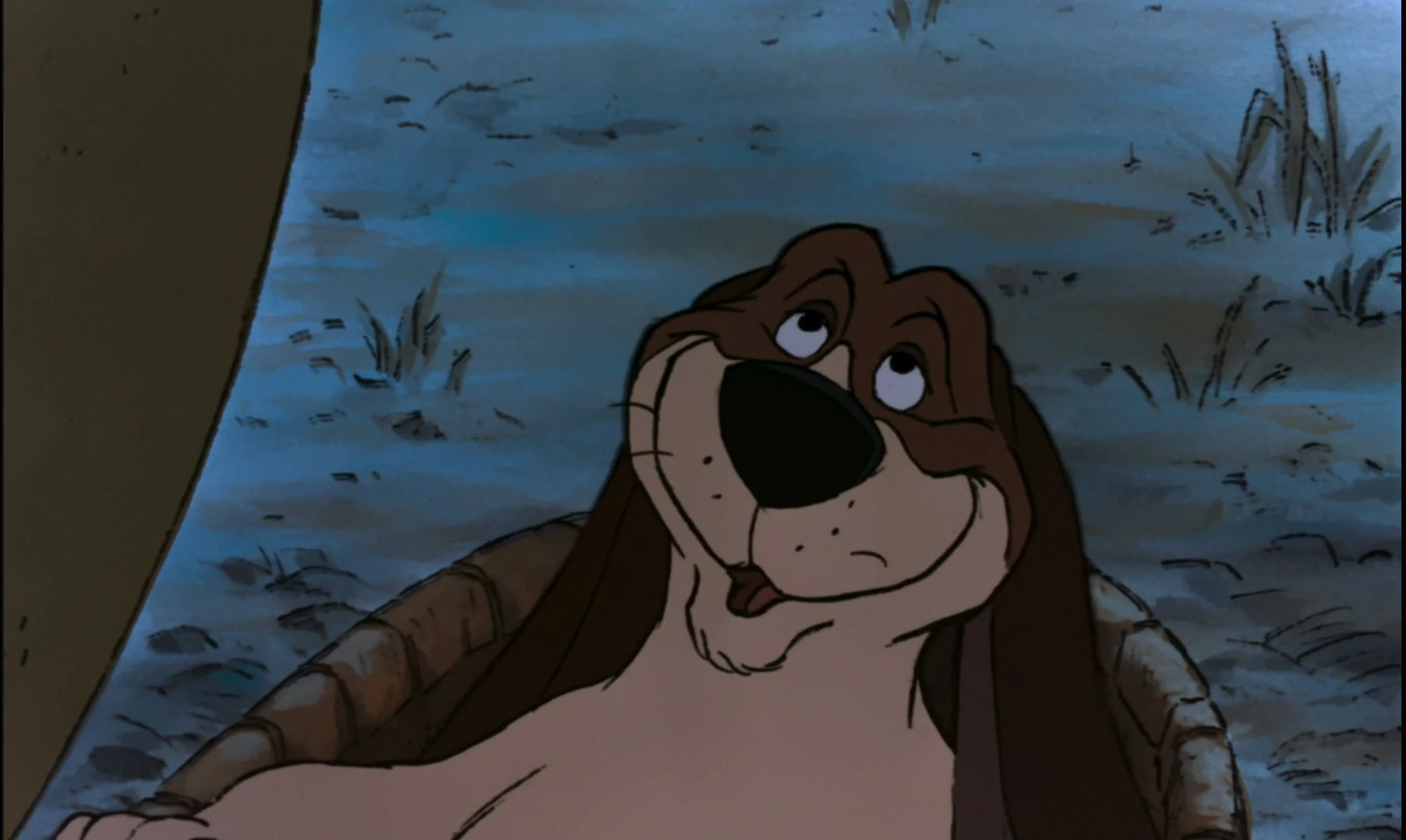 Lafayette | Animated Animals Wiki | Fandom