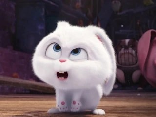 Snowball (Rabbit) | Animated Animals Wiki | Fandom