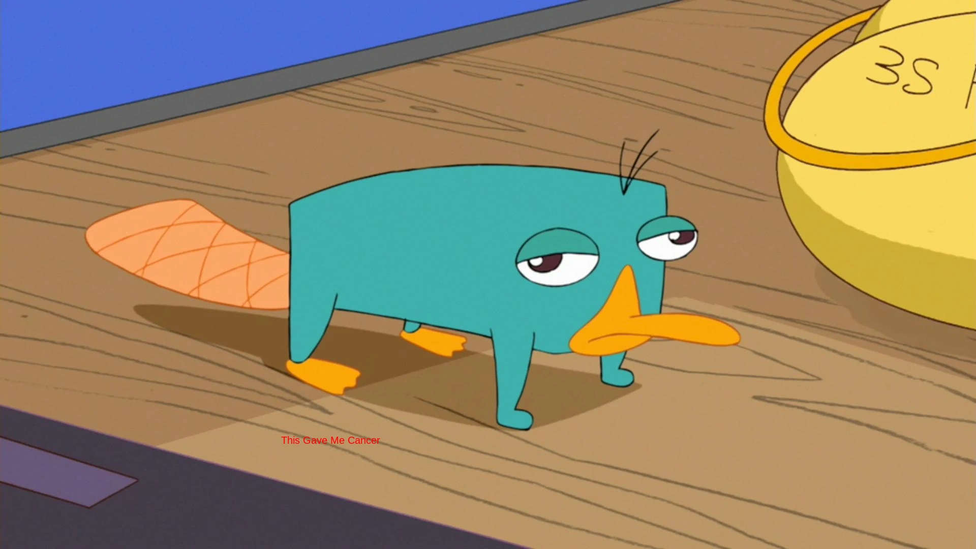 Flapping Tail platypus | Chantilly Lane Wiki | Fandom