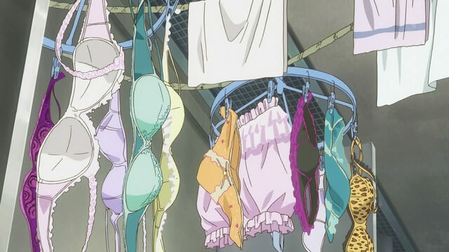 Image Bras 2 Anime Arts Wiki Fandom Powered By Wikia