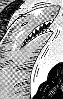 Toriko | Anime Characters Fight вики | Fandom