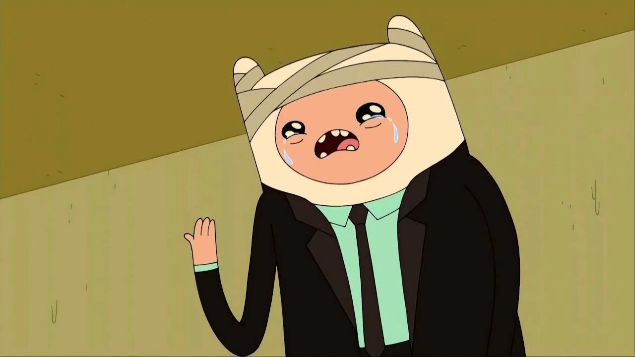 Finn the Human | AnimeTears Wiki | FANDOM powered by Wikia