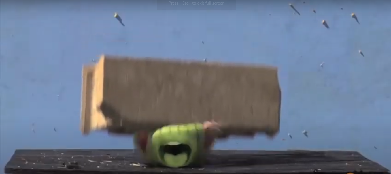 Annoying Orange: Foodsplosion 2: Wanda Watermelon | Annoying Orange ...