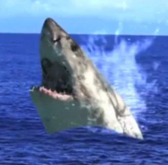 Shark (Gut Wrenching) | Annoying Orange Wiki | Fandom