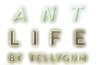 Ant Life Wiki | Fandom