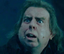 Peter Pettigrew | Antagonists Wiki | FANDOM powered by Wikia