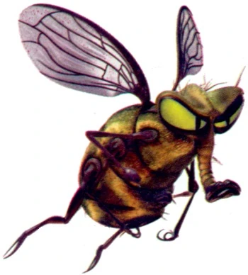 Fly | Antbully Wiki | Fandom