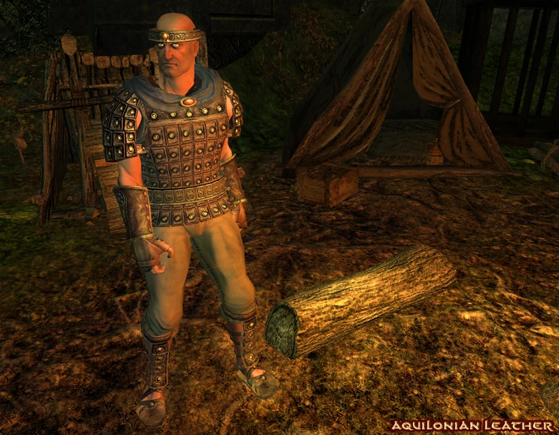 Image - Aquilonian Leather.jpg | AoCWiki | FANDOM powered by Wikia