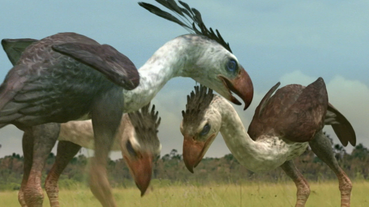 Terror Bird | Andy's Prehistoric Adventures Wiki | FANDOM powered by Wikia