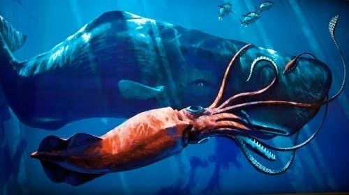 Colossal Squid | Apex Predators Wiki | Fandom