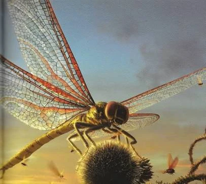 Meganeura | Apex Predators Wiki | Fandom