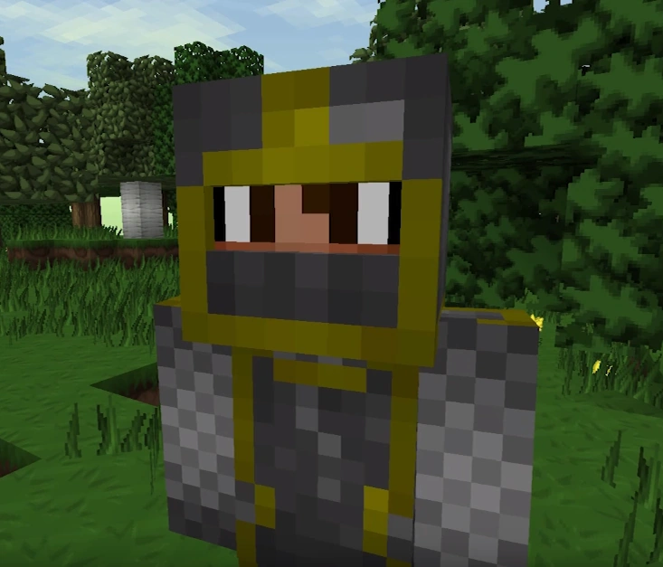 Zenix Mystreet Aphmau Wiki Fandom Powered By Wikia