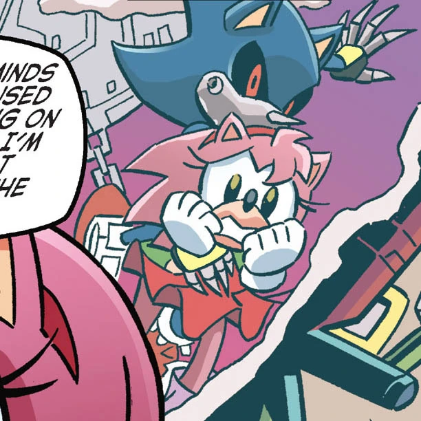 Image - Metal Sonic kidnaps Amy.jpg | Mobius Encyclopaedia | FANDOM ...