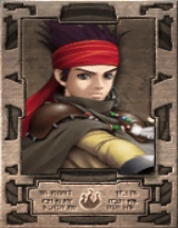 Character Cards | Arc the lad Wiki | Fandom