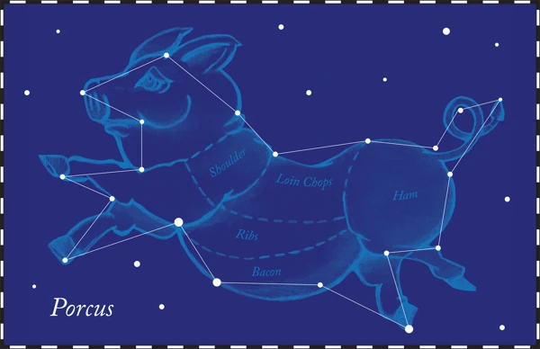 Pig (constellation) | Arcus Wiki | Fandom