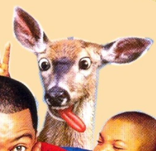 Deer | Are We There Yet Wiki | Fandom