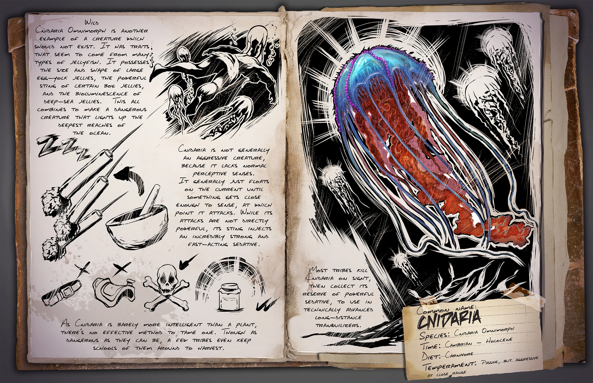 Cnidaria | ARK: Survival Evolved Wiki | FANDOM powered by Wikia