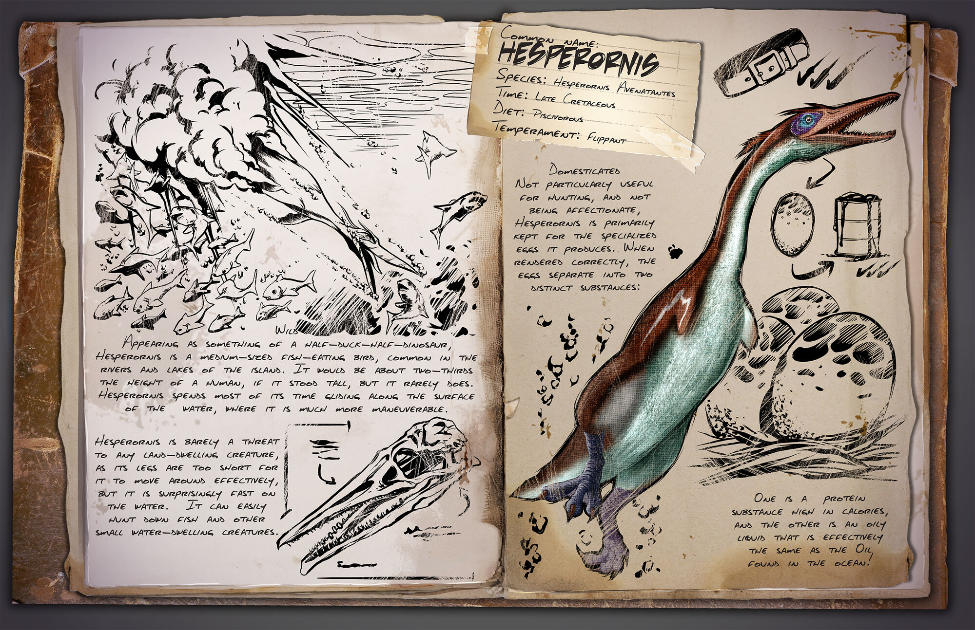 Hesperornis | ARK: Survival Evolved Wiki | FANDOM powered by Wikia Hesperornis | ARK: Survival Evolved Wiki | FANDOM powered by Wikia