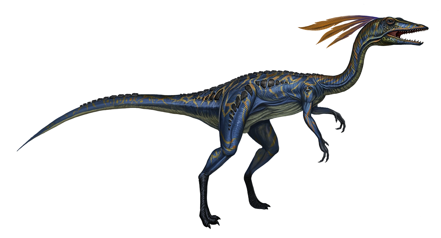 Изображение - Compsognathus Large.png | ARK: Survival Evolved вики ...