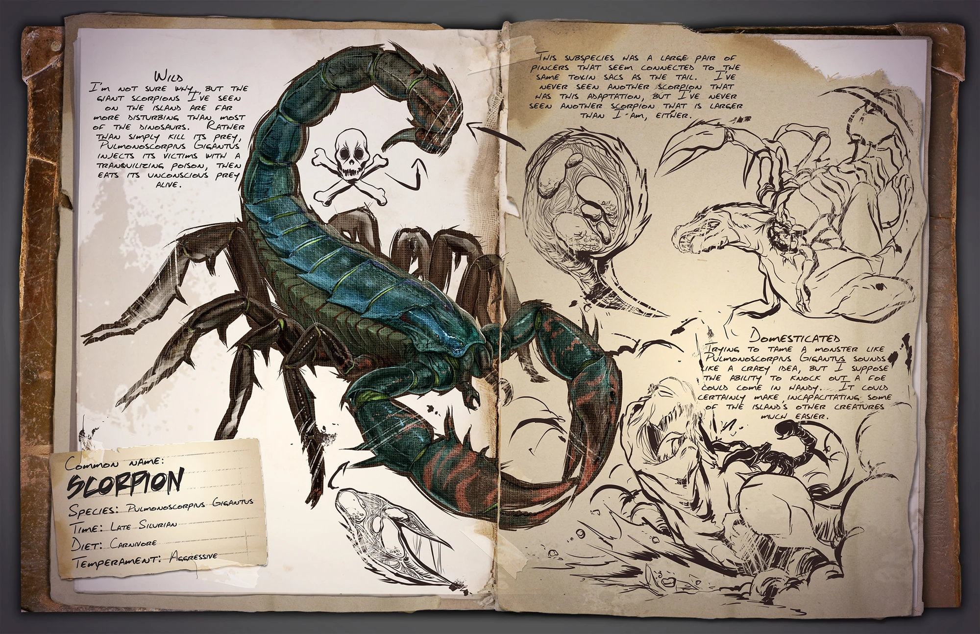 Pulmonoscorpius | ARK: Survival Evolved Wiki | Fandom