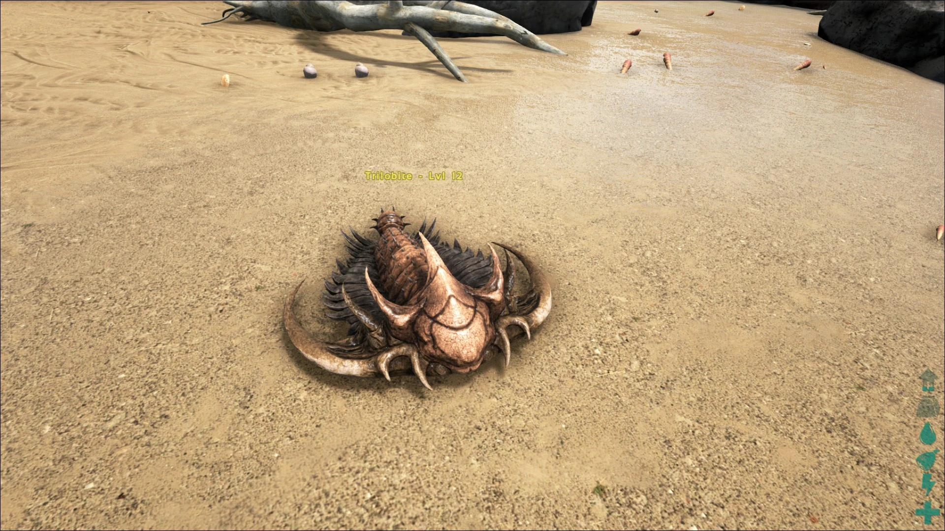 Image - ARK-Trilobite Screenshot 006.jpg | ARK: Survival Evolved Wiki ...