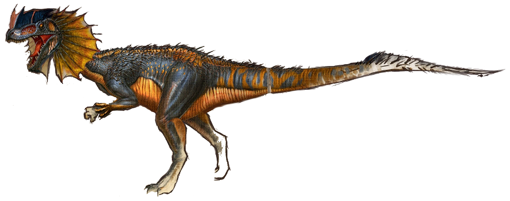 Image - Dilophosaur-2.png | Wikia Ark Survival Evolved | FANDOM powered ...