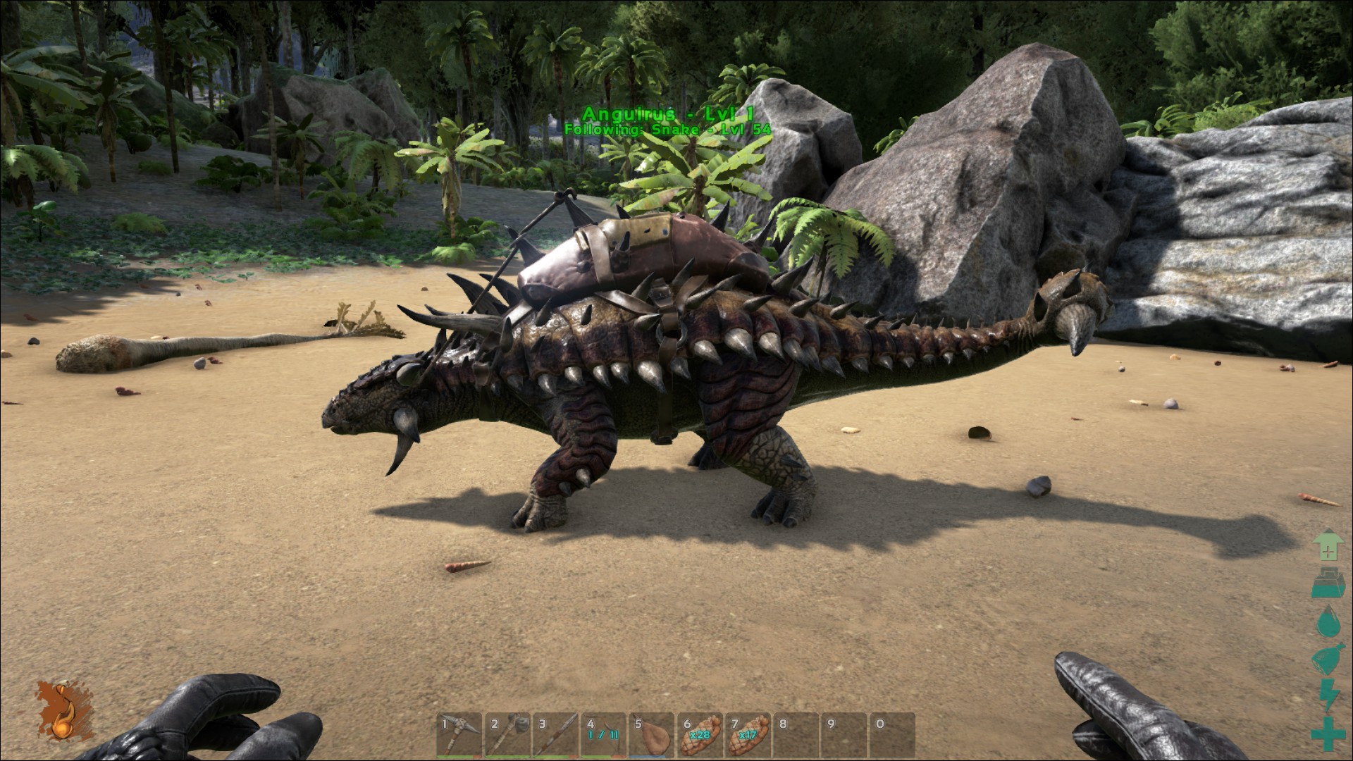 Image - ARK-Ankylosaurus Screenshot 001.jpg | ARK: Survival Evolved ... Image - ARK-Ankylosaurus Screenshot 001.jpg | ARK: Survival Evolved ...