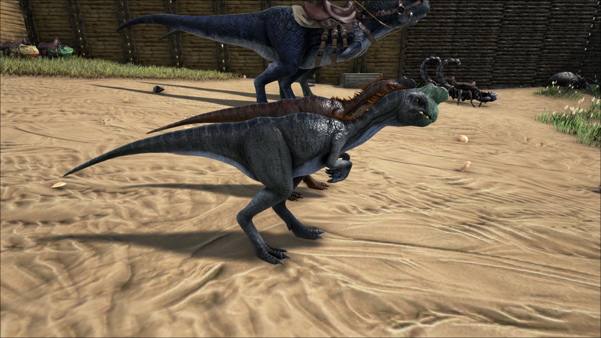 Image Ark Oviraptor Screenshot 004 Ark Survival Evolved Wiki