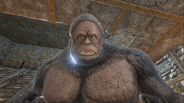 Image Ark Gigantopithecus Screenshot 003 Ark Survival Evolved Wiki Fandom Powered By