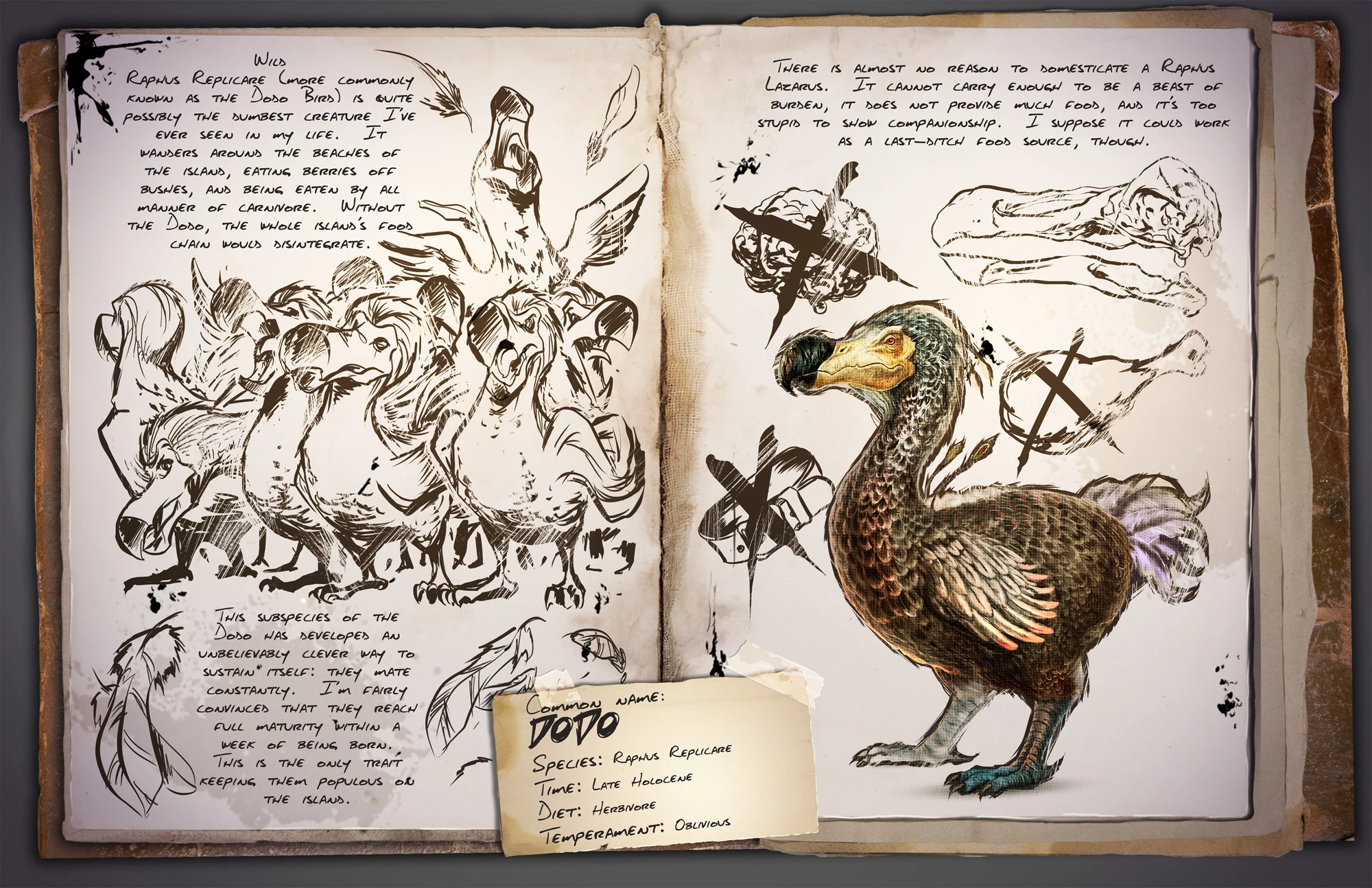 Dodo | ARK: Survival Evolved Wiki | FANDOM powered by Wikia