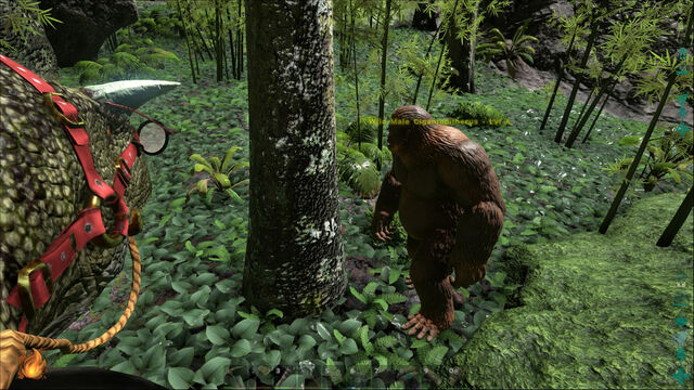 Image - ARK-Gigantopithecus Screenshot 001.jpg | ARK: Survival Evolved ... Image - ARK-Gigantopithecus Screenshot 001.jpg | ARK: Survival Evolved ...