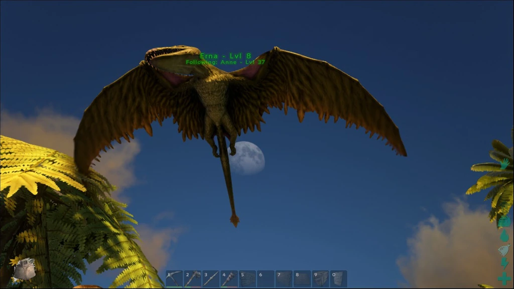 Dimorphodon | ARK: Survival Evolved Wiki | FANDOM powered by Wikia