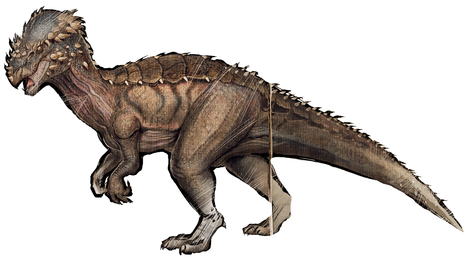 Image - Pachycephalosaurus-2.png | Wikia Ark Survival Evolved | FANDOM ...