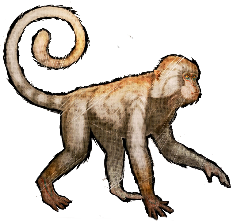 Image - Mesopithecus-2.png | Wikia Ark Survival Evolved | FANDOM ...