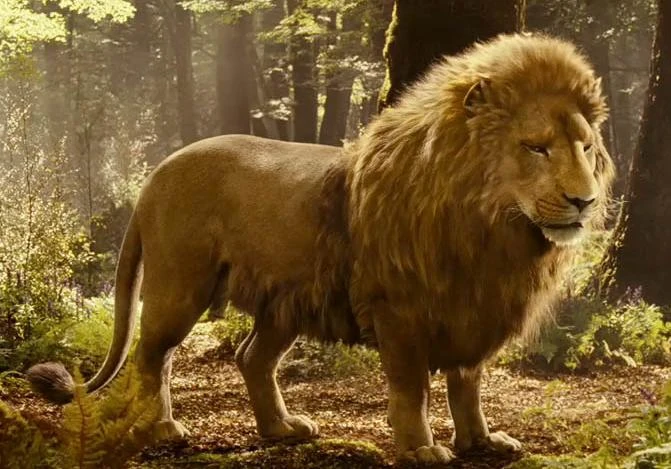 Aslan | Wiki As Crônicas de Nárnia | FANDOM powered by Wikia