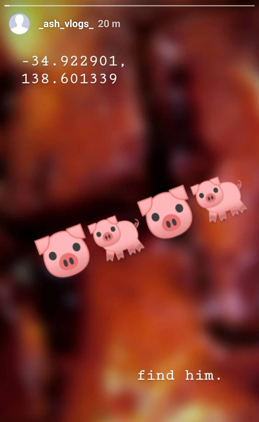 A Day Out | Ash Vlogs/IKWSI Wiki | Fandom